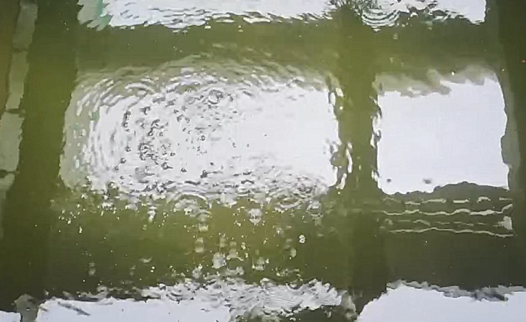 Quickly troubleshooting a dissolved air flotation (DAF) system ...